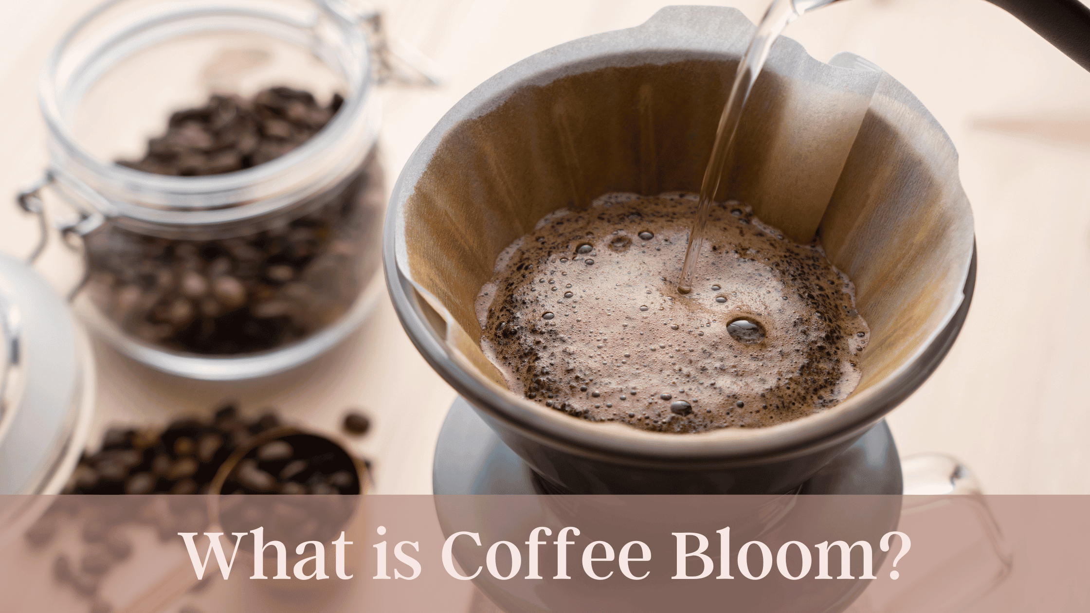 Unlocking the Secrets of Coffee Bloom: What It Is and Why It Matters ...